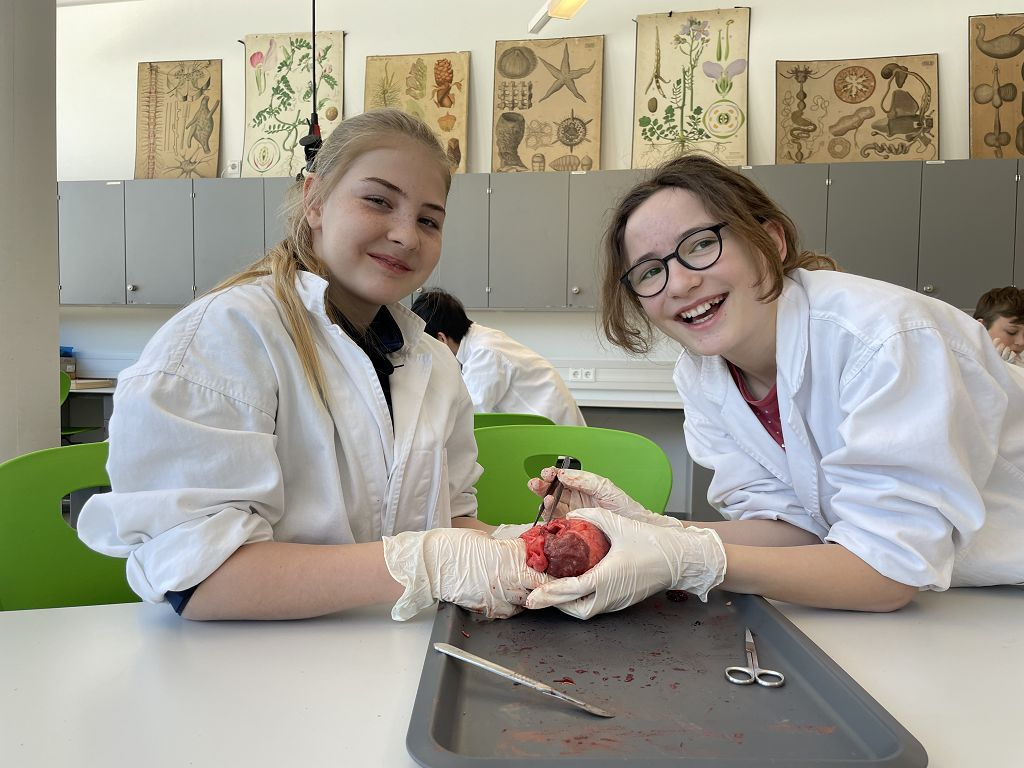 Projektwoche der 1al – Ingeborg Bachmann Gymnasium